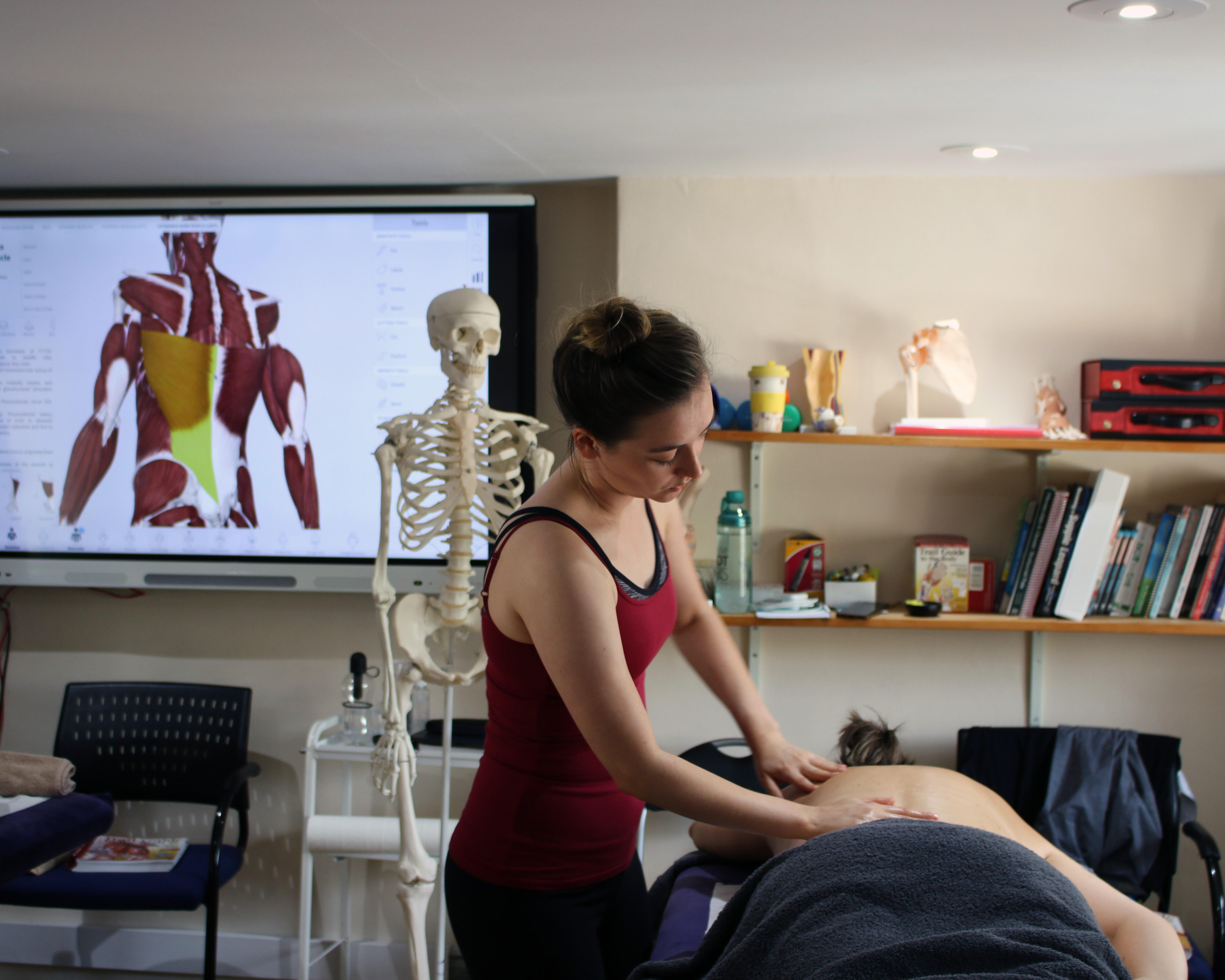 Advanced Massage & Clinical Anatomy Course